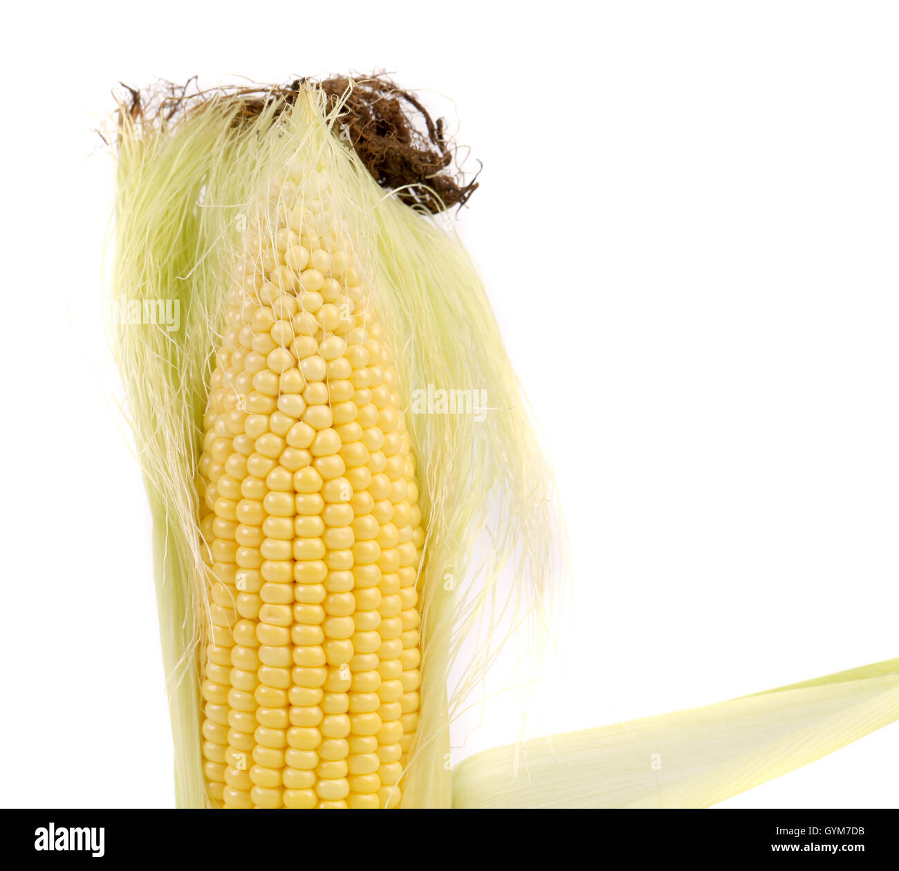 Corn on the cop hi-res stock photography and images - Alamy