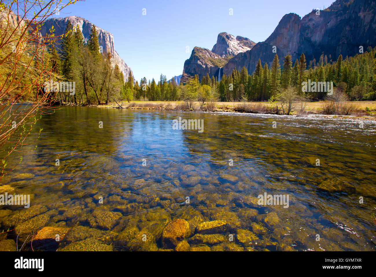Yosemite Merced River el Capitan and Half Dome Stock Photo - Alamy