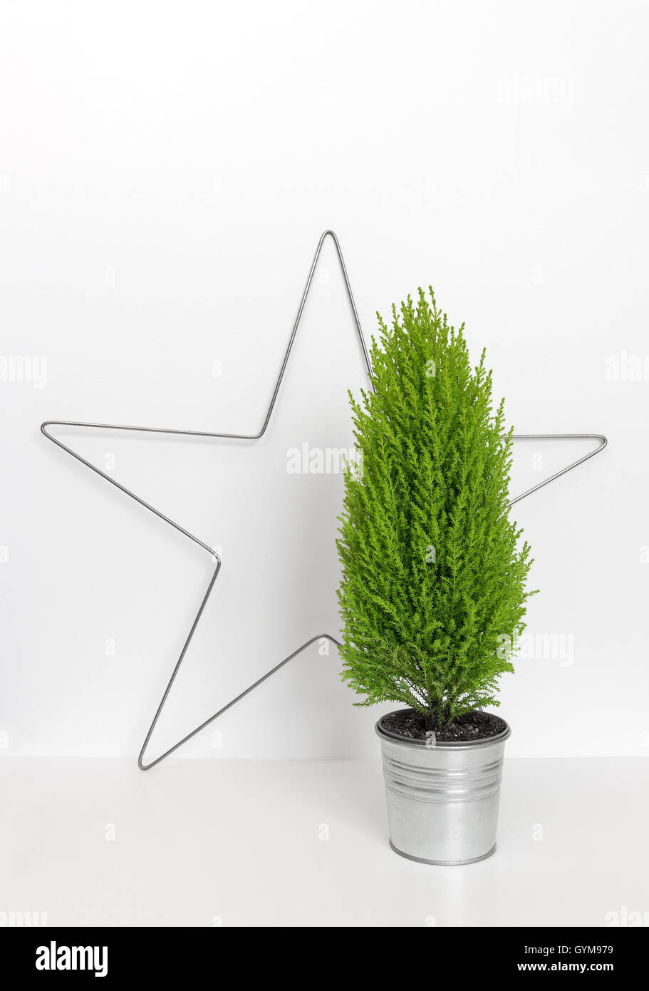 Christmas star and little green tree Stock Photo - Alamy