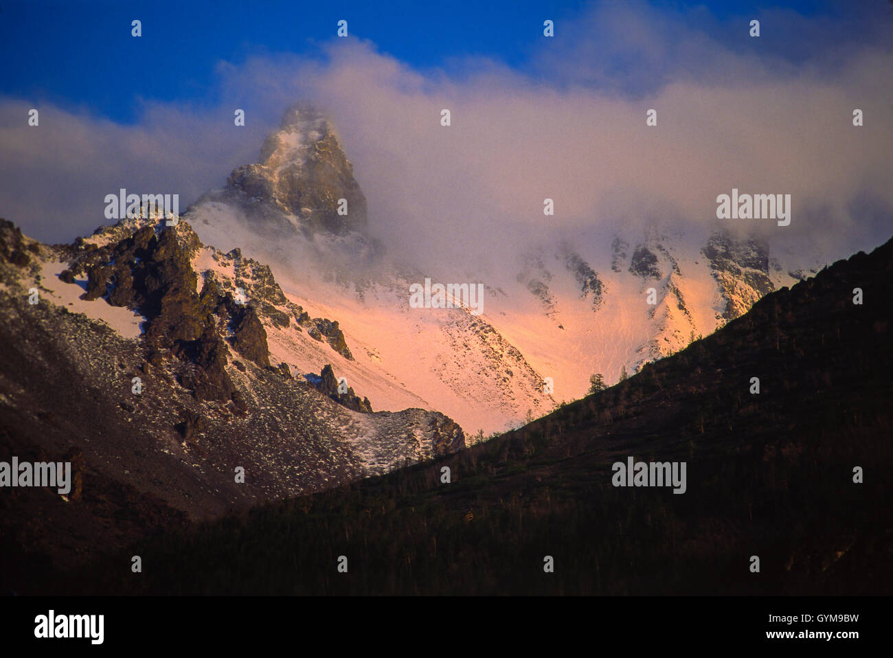 Zapovednik hi-res stock photography and images - Alamy