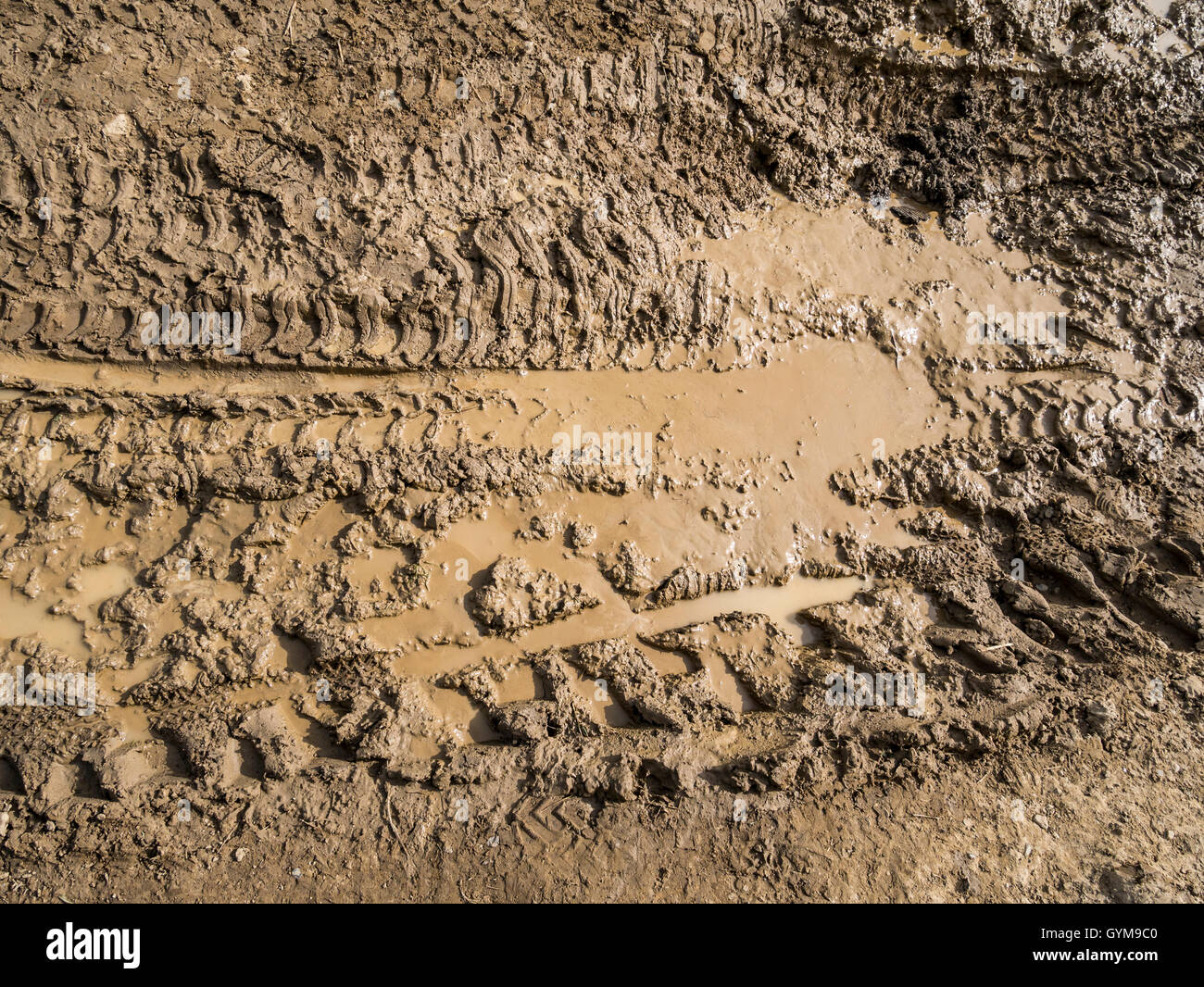 Mud High Resolution Stock Photography and Images - Alamy