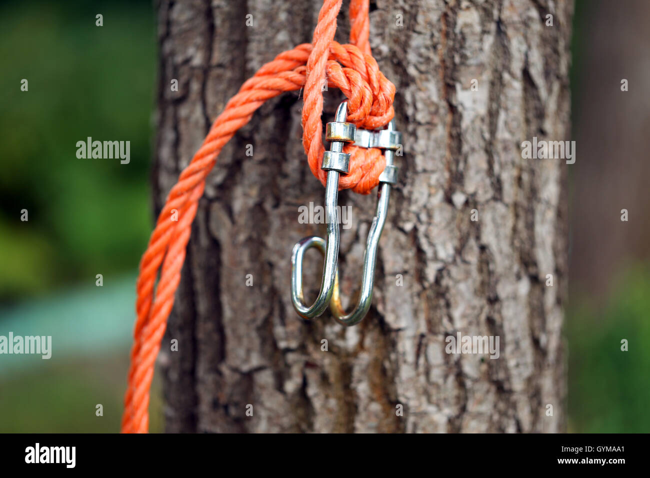 Close up of brown tree with rope Stock Photo - Alamy