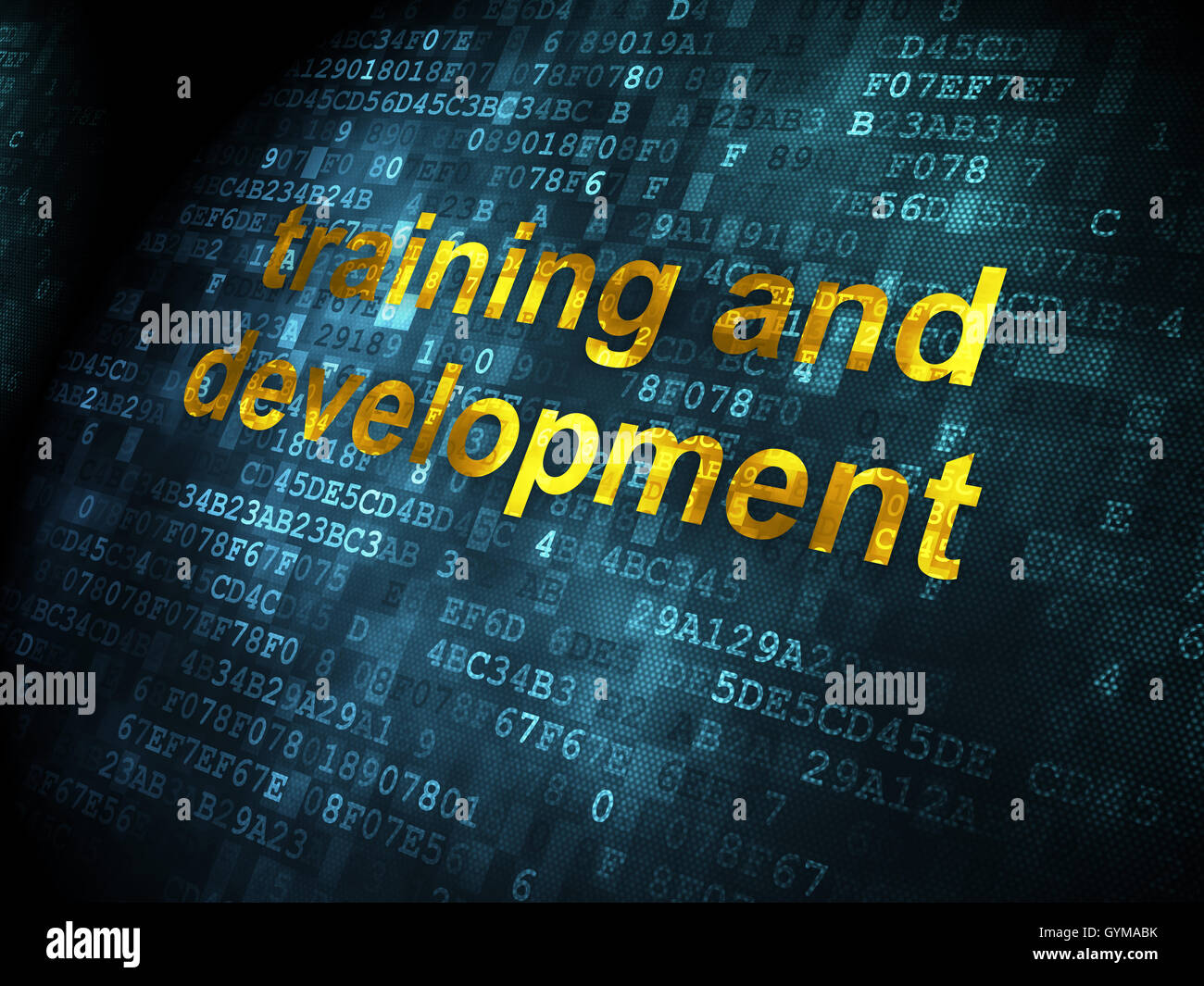 Education concept: Training and Development on digital background Stock ...
