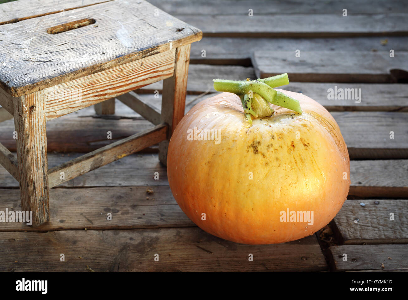 Pumpkin and boards hi-res stock photography and images - Alamy