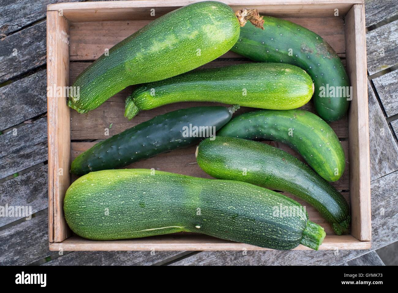 Courgettes cucumbers hi-res stock photography and images - Alamy