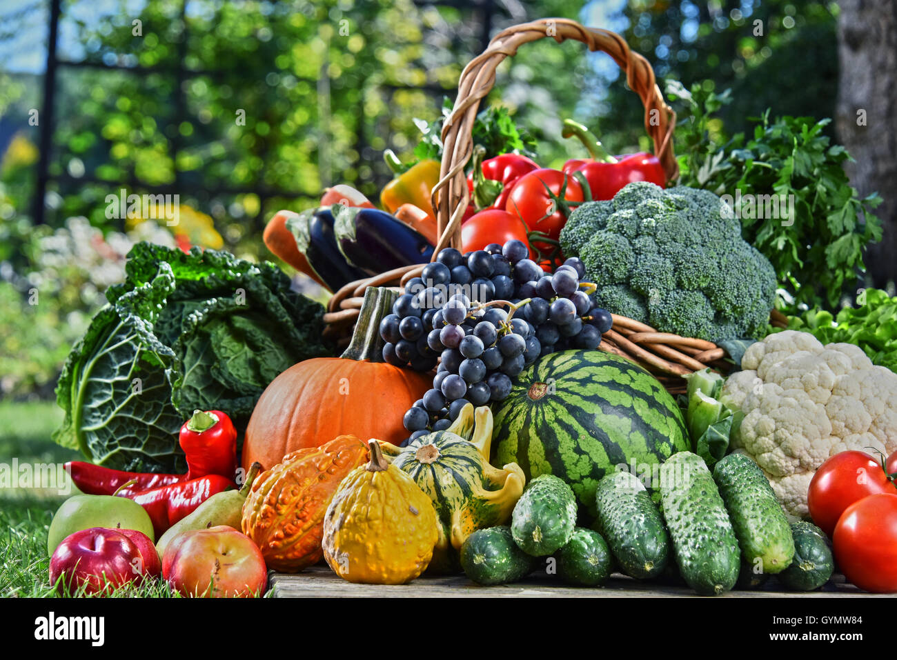 Variety of fresh organic vegetables and fruits in the garden. Balanced ...