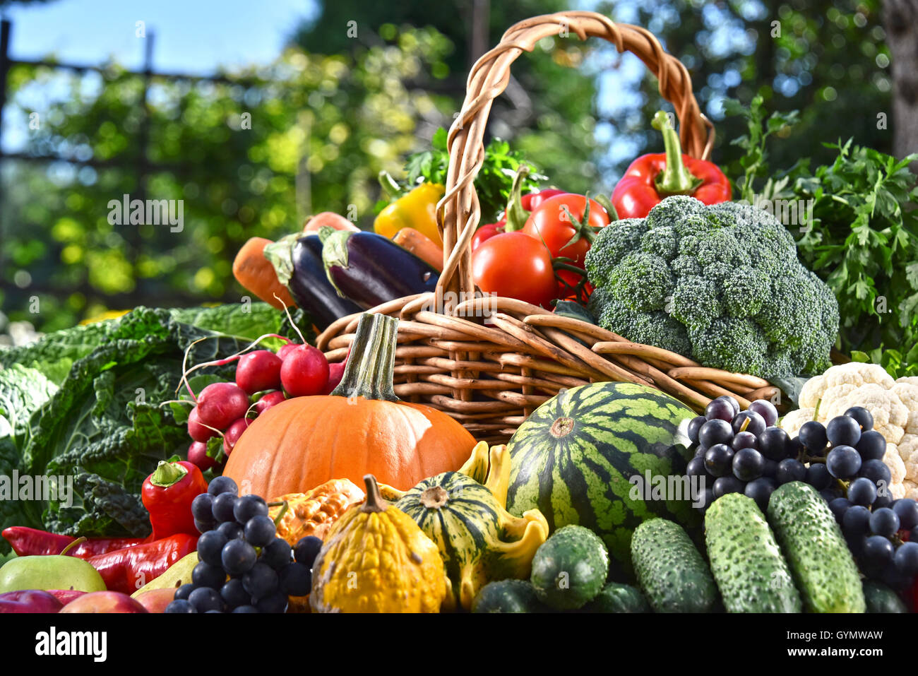 Variety of fresh organic vegetables and fruits in the garden. Balanced ...