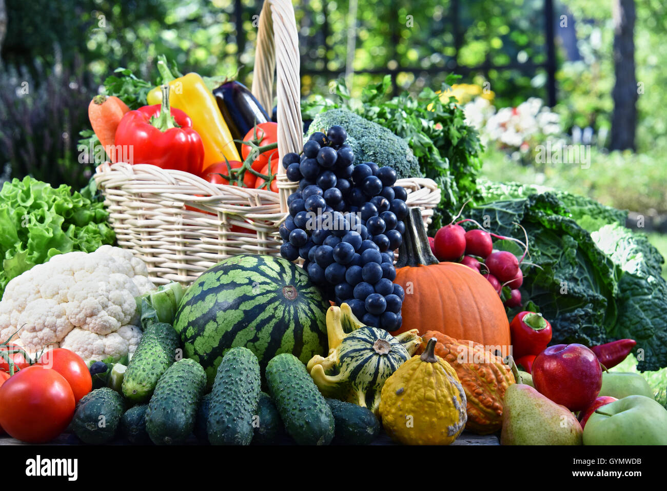 Variety of fresh organic vegetables and fruits in the garden. Balanced ...