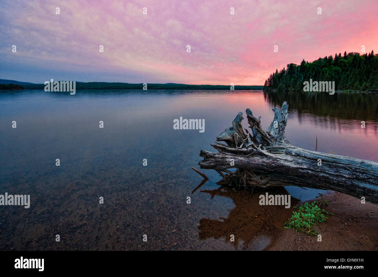 Purple mountain sunrise hi-res stock photography and images - Alamy