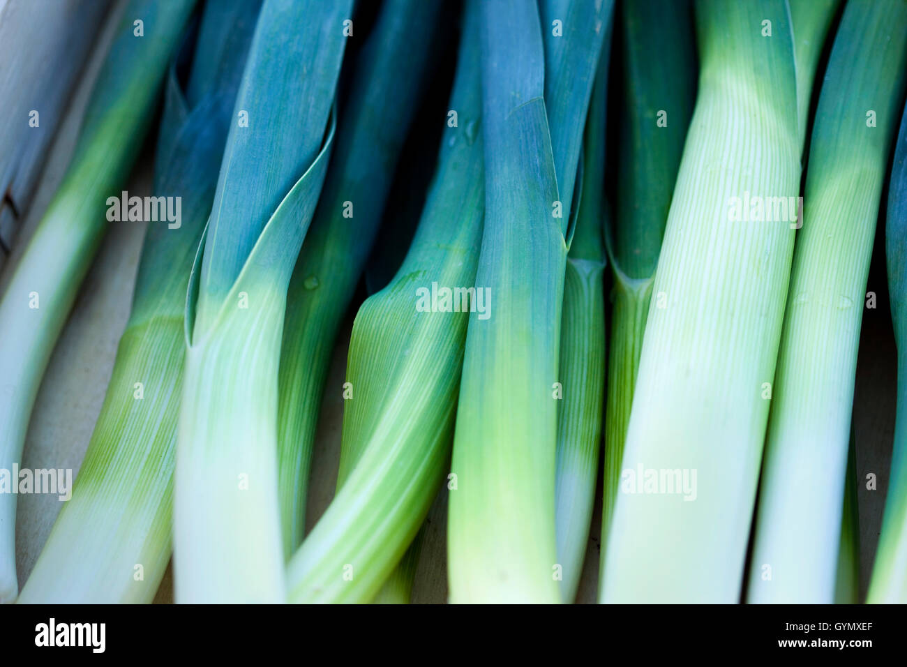 Background of fresh leeks on a market stall Stock Photo - Alamy