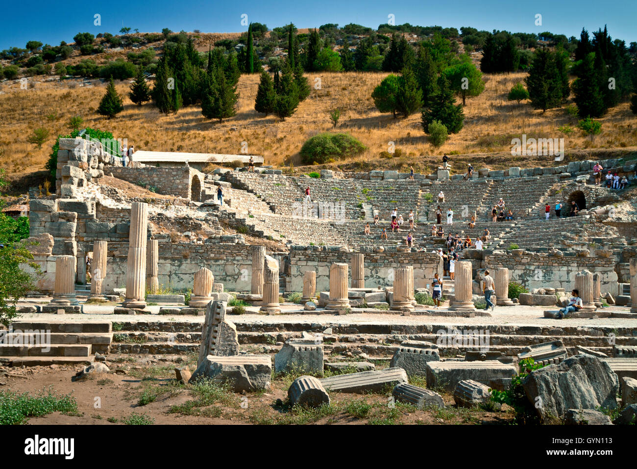 Odeon. Ruins of Ephesus. Izmir province. Anatolia, Turkey Stock Photo ...