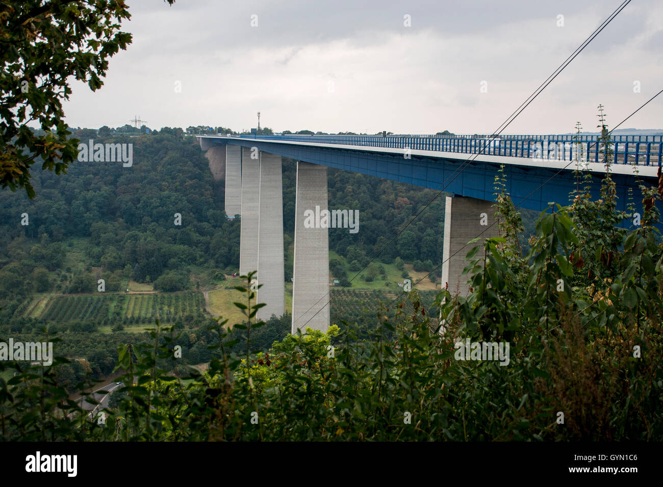 Grape vine bridge hi-res stock photography and images - Alamy