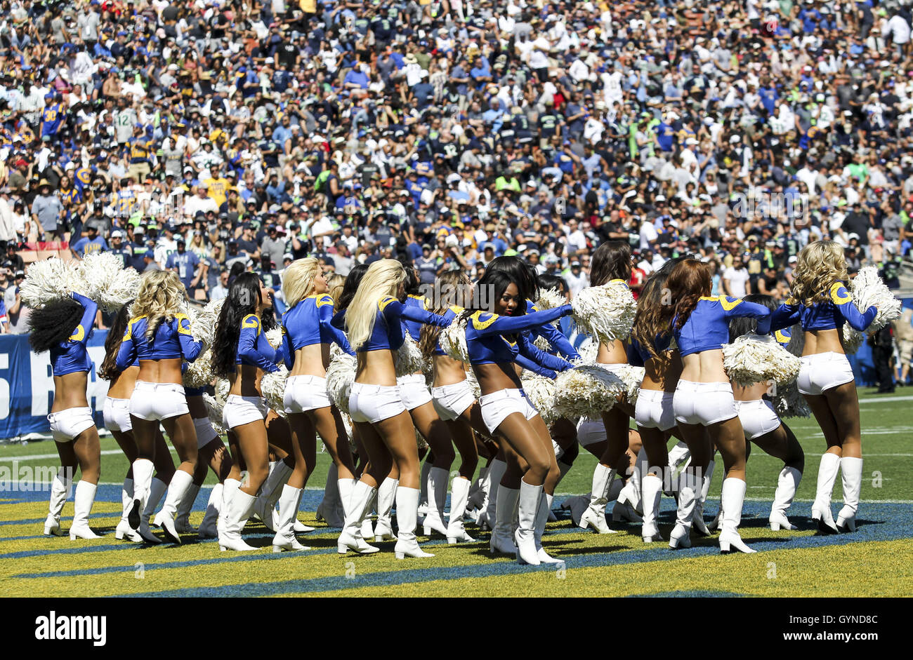 Rams cheerleaders hi-res stock photography and images - Alamy