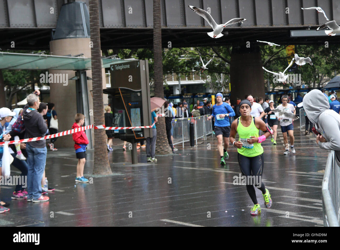 Sydney, Australia. 18 September 2016. Tens of thousands of runners took ...