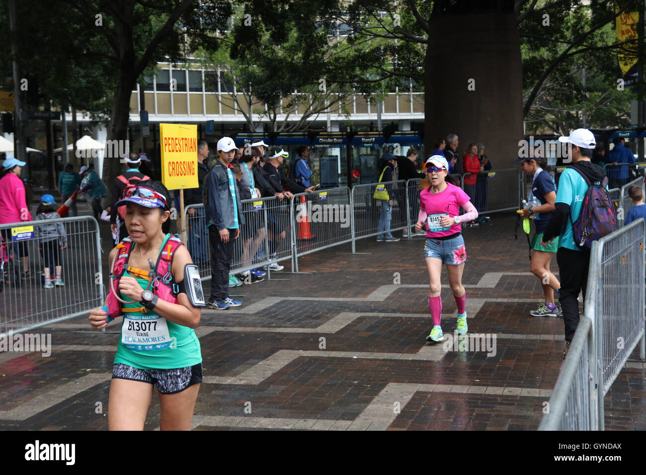 Sydney, Australia. 18 September 2016. Tens of thousands of runners took ...