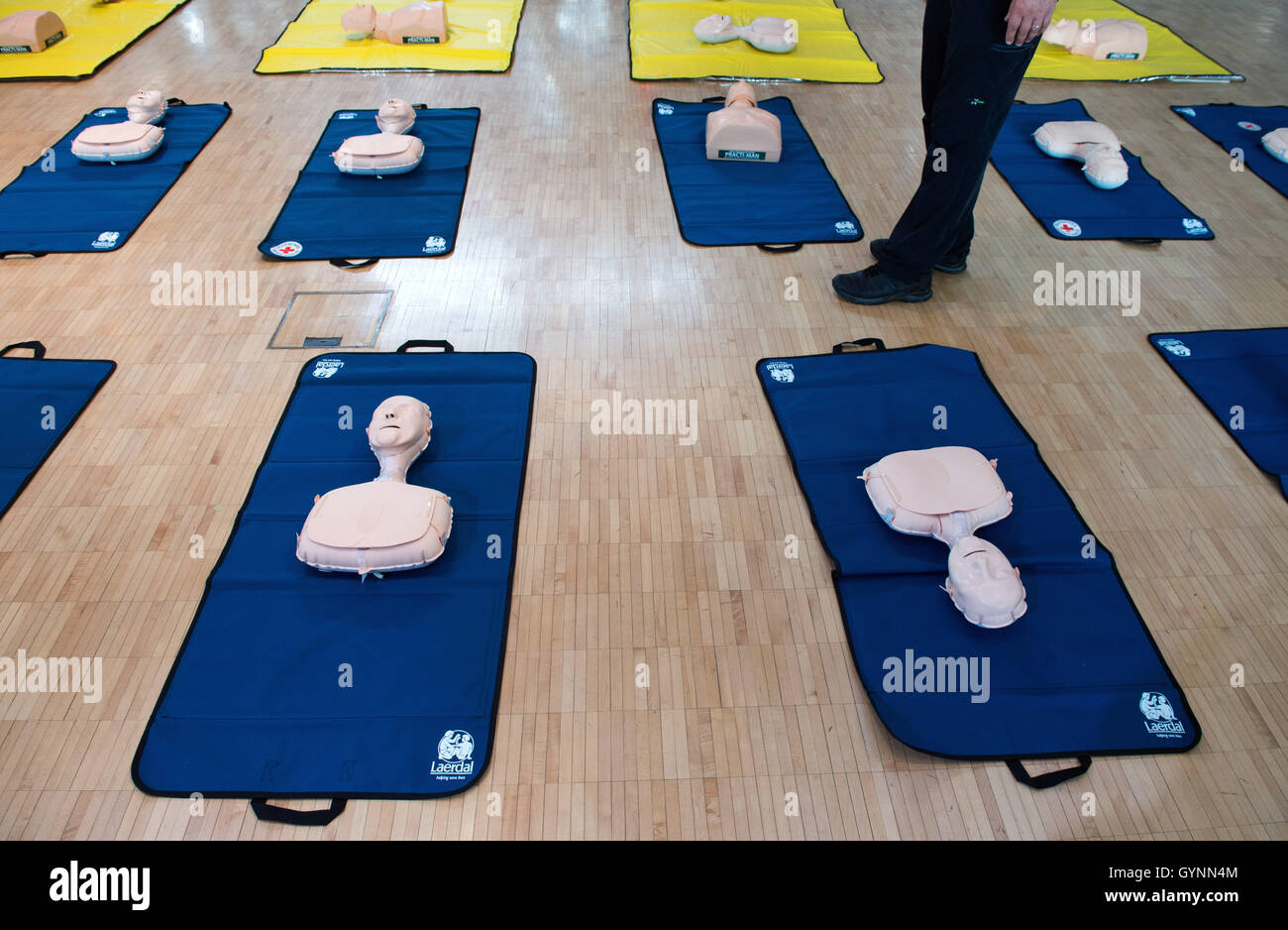 Resuscitation dolls hi-res stock photography and images - Alamy