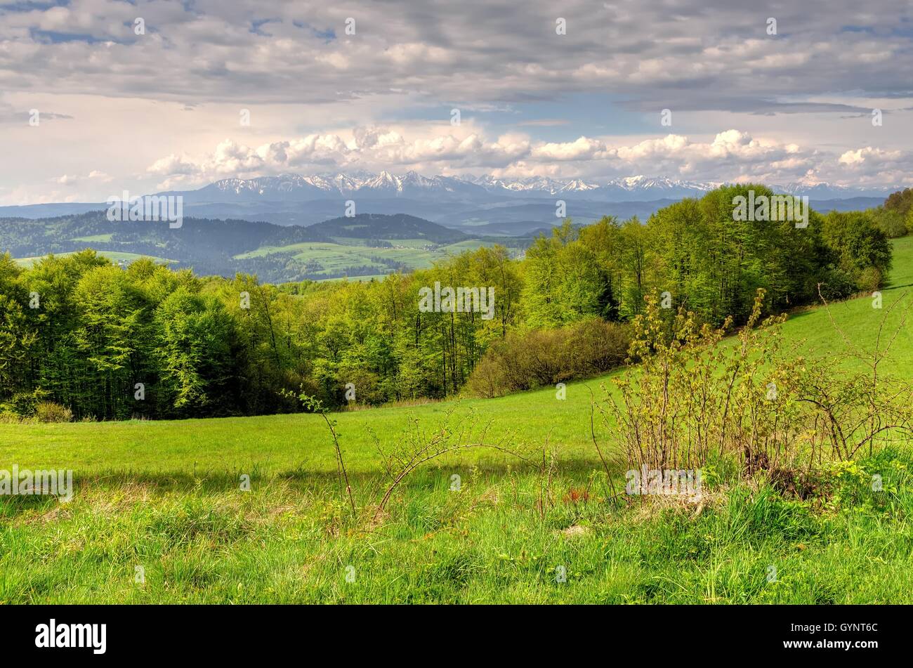 Spring mountain landscape. Beautiful panorama with views of the high ...