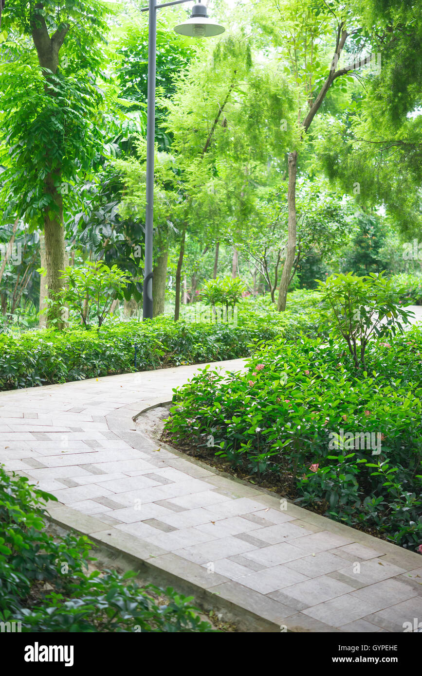 curved outdoor pathway in a garden Stock Photo - Alamy