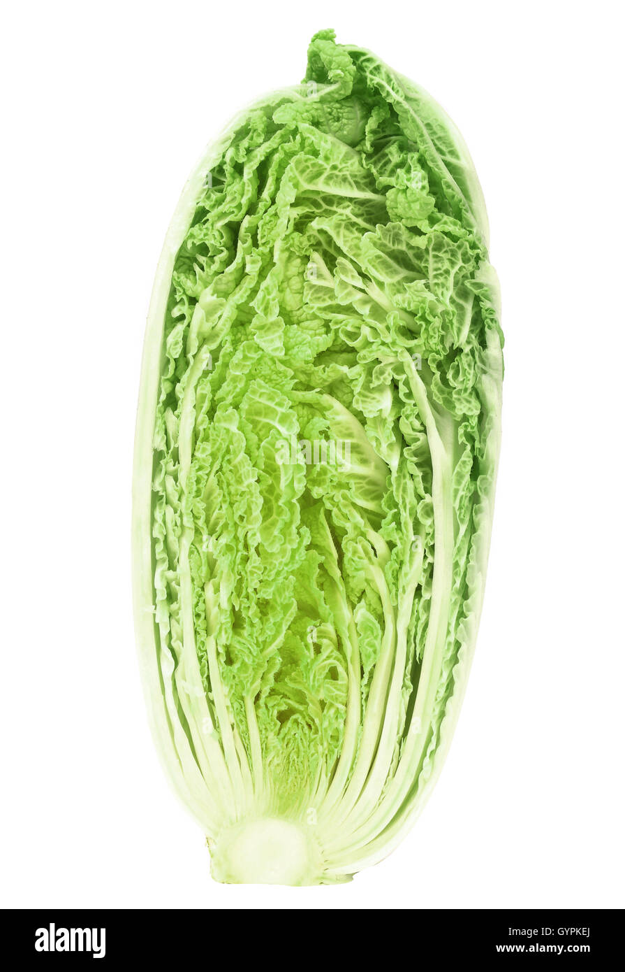 Slice of fresh chinese cabbage Stock Photo - Alamy