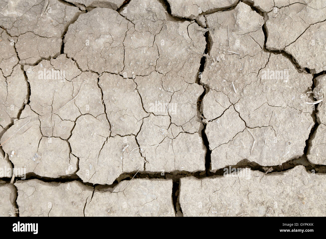 Dry cracked earth Stock Photo - Alamy