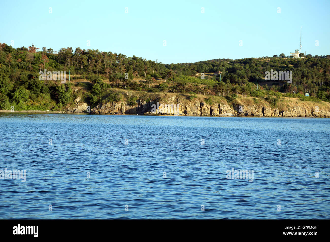 Grassy line of the sea shore Stock Photo - Alamy