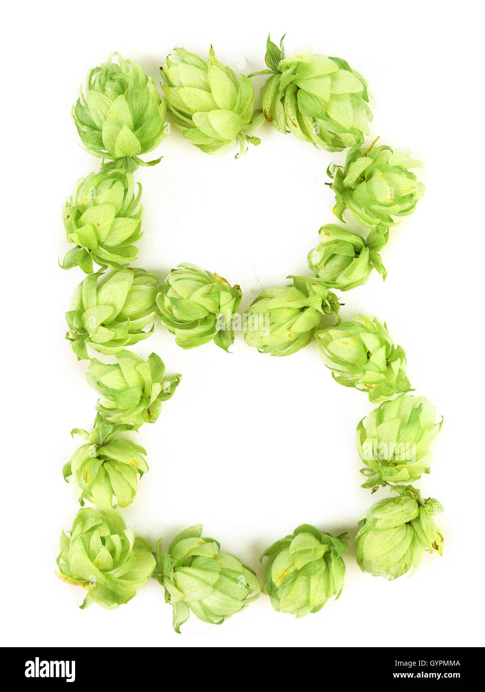 Hop flowers laid in form of letter B Stock Photo - Alamy