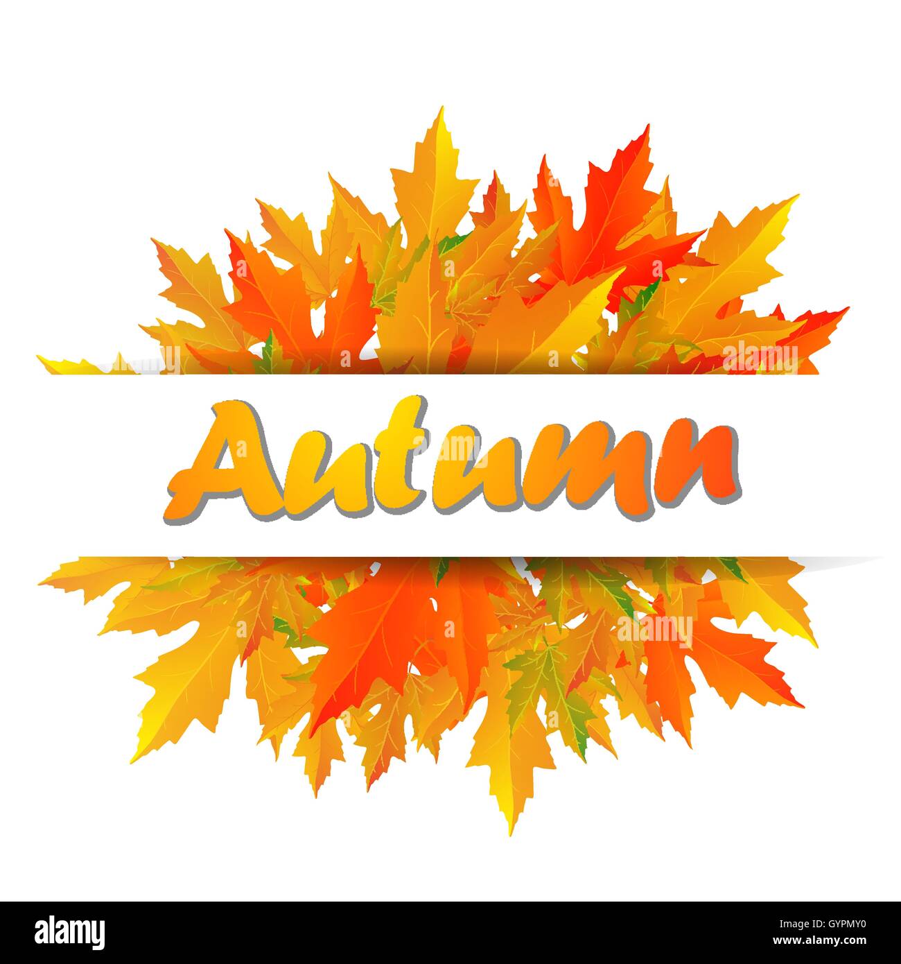 Autumn typographic. Fall leaf Stock Vector Image & Art - Alamy