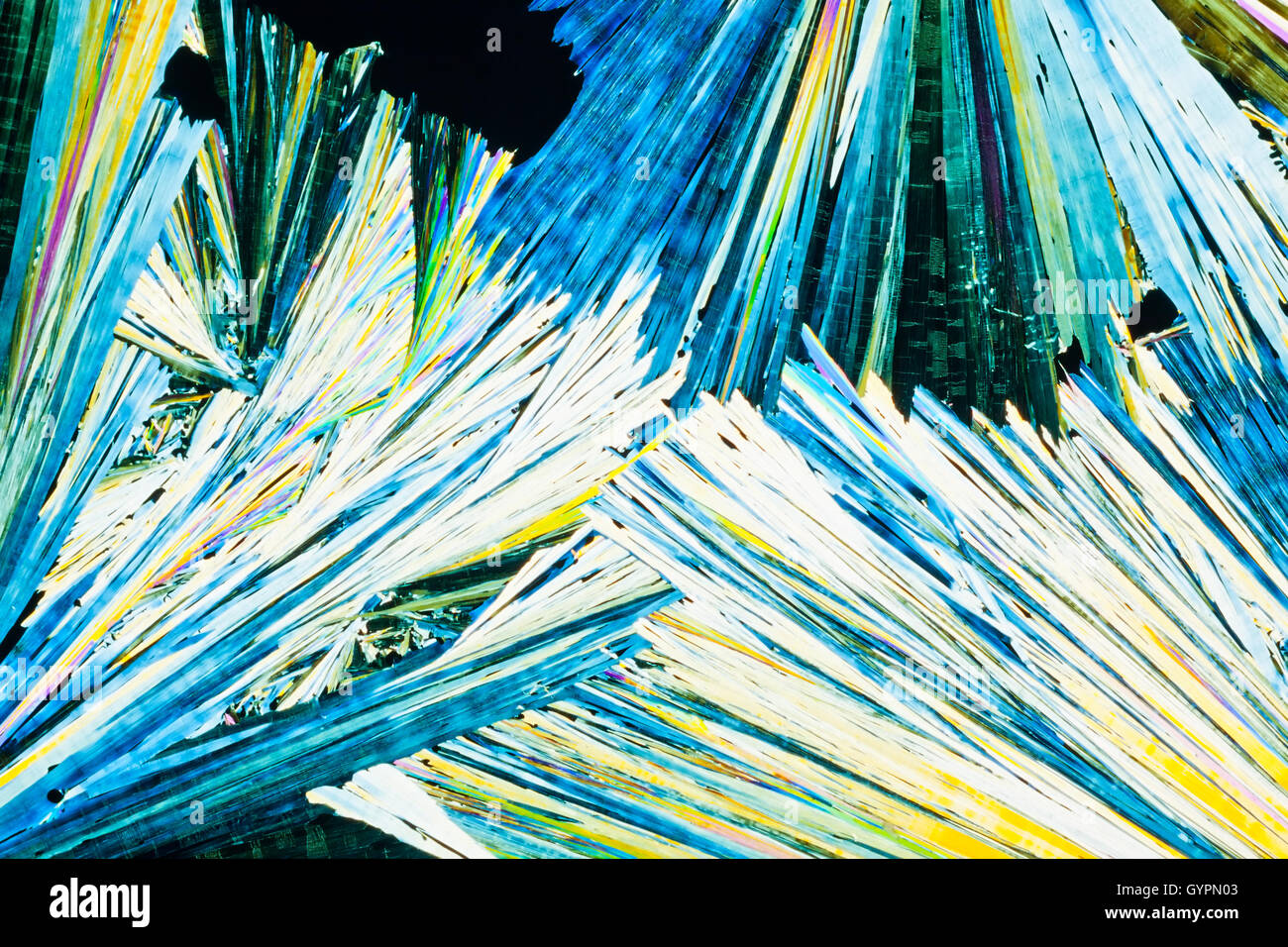 Polarized light microscope hi-res stock photography and images - Alamy