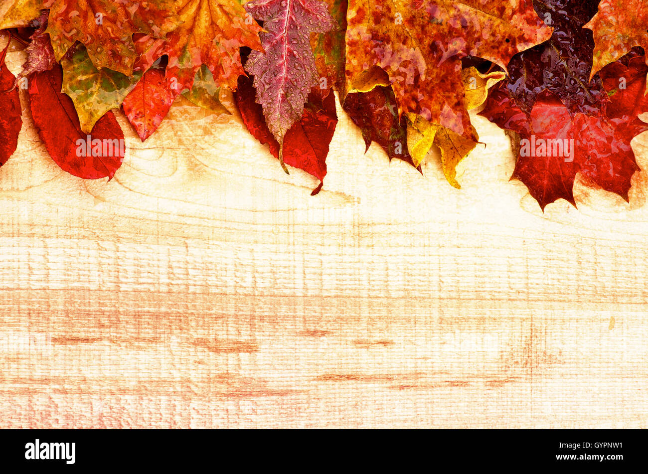 Overlapping leafs hi-res stock photography and images - Alamy