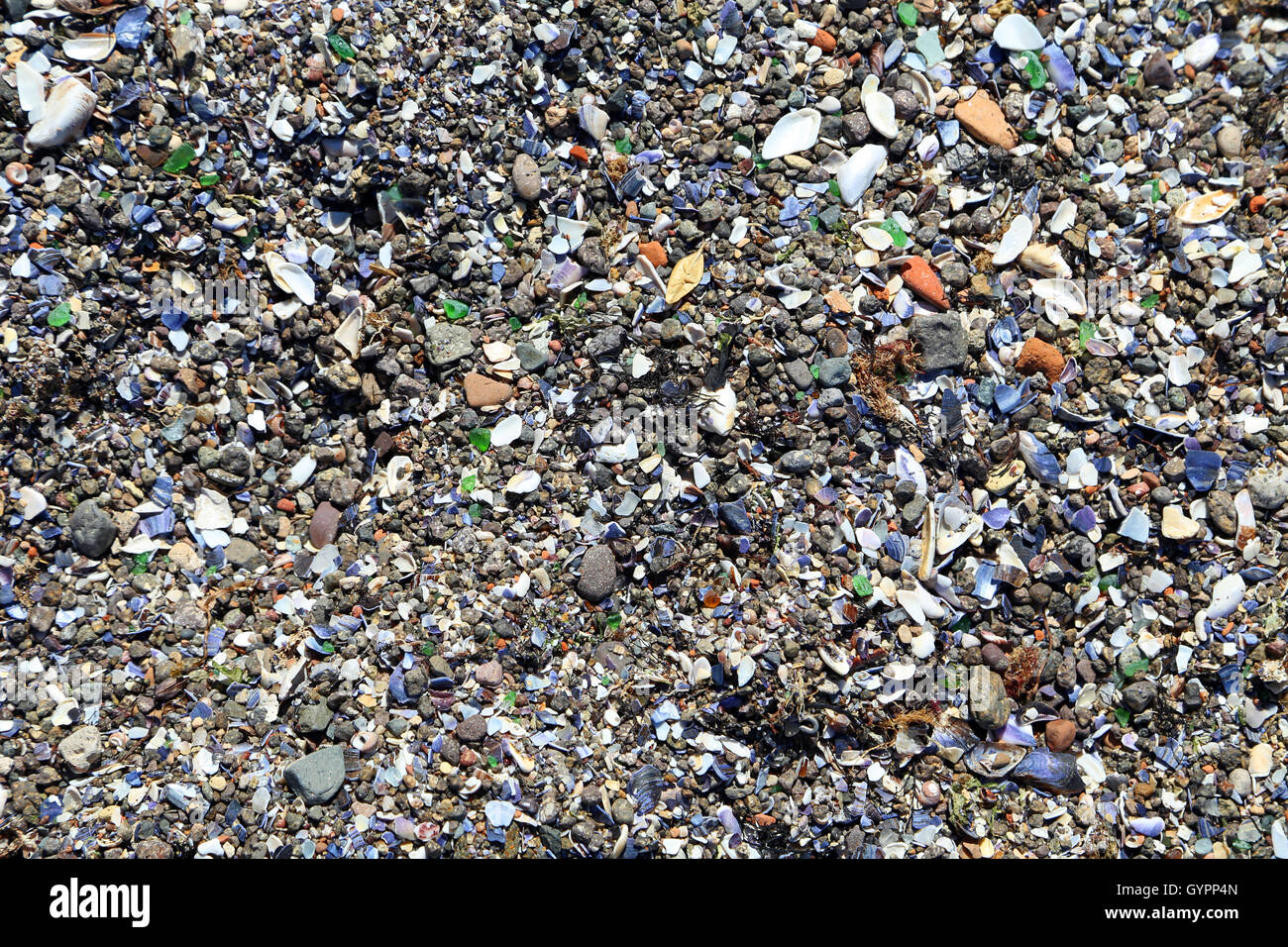 CLose up of beach boulder Stock Photo - Alamy