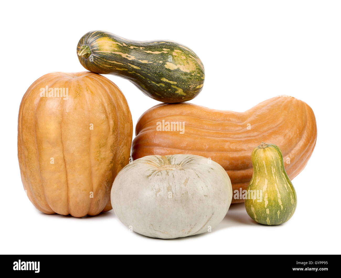 Composition of fresh pumpkins Stock Photo - Alamy