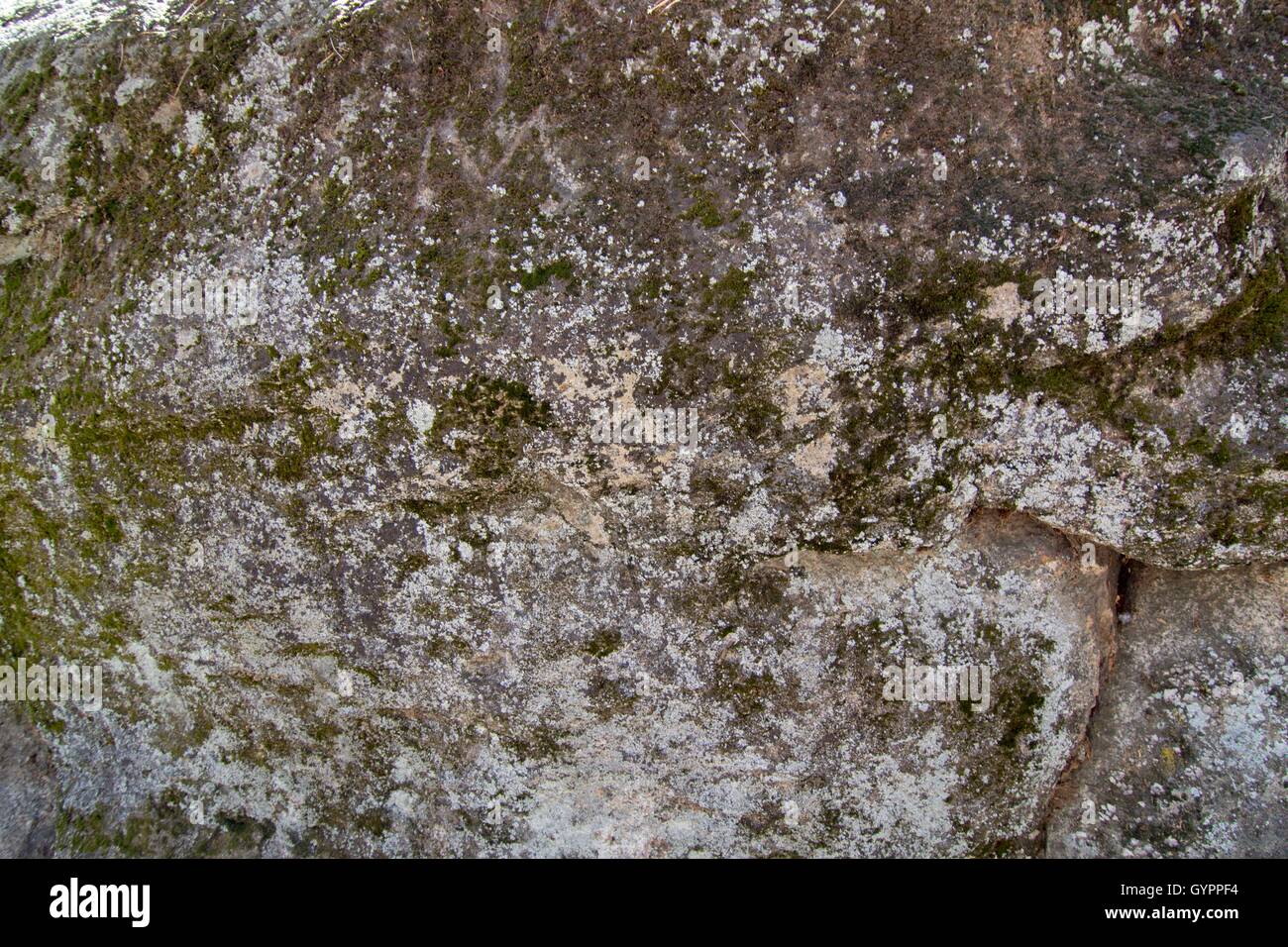 Boulder Texture with Moss Stock Photo - Alamy