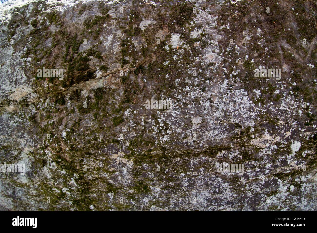 Boulder Texture with Moss Stock Photo - Alamy