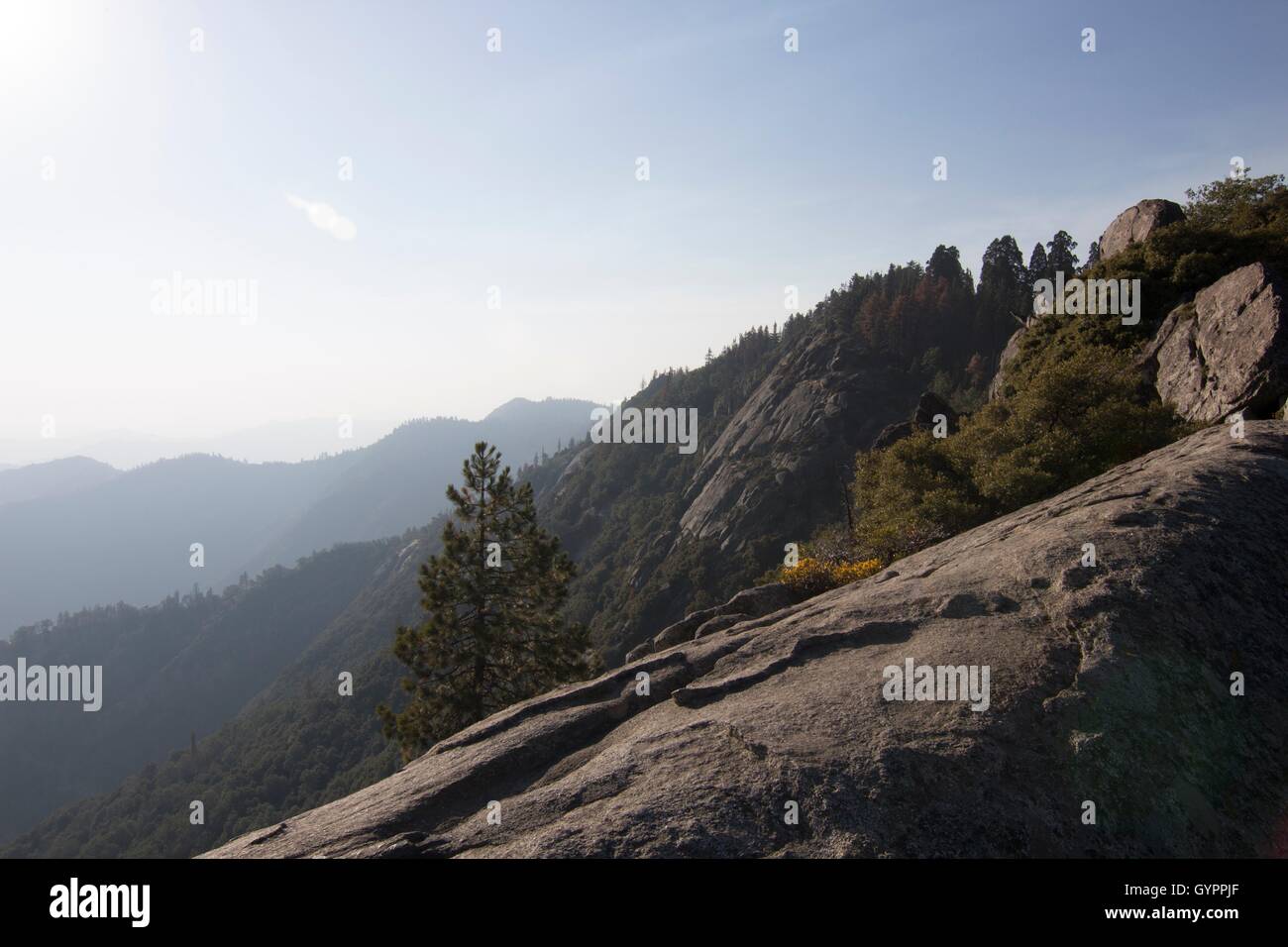 Wide View of Mountains and Trees Stock Photo - Alamy