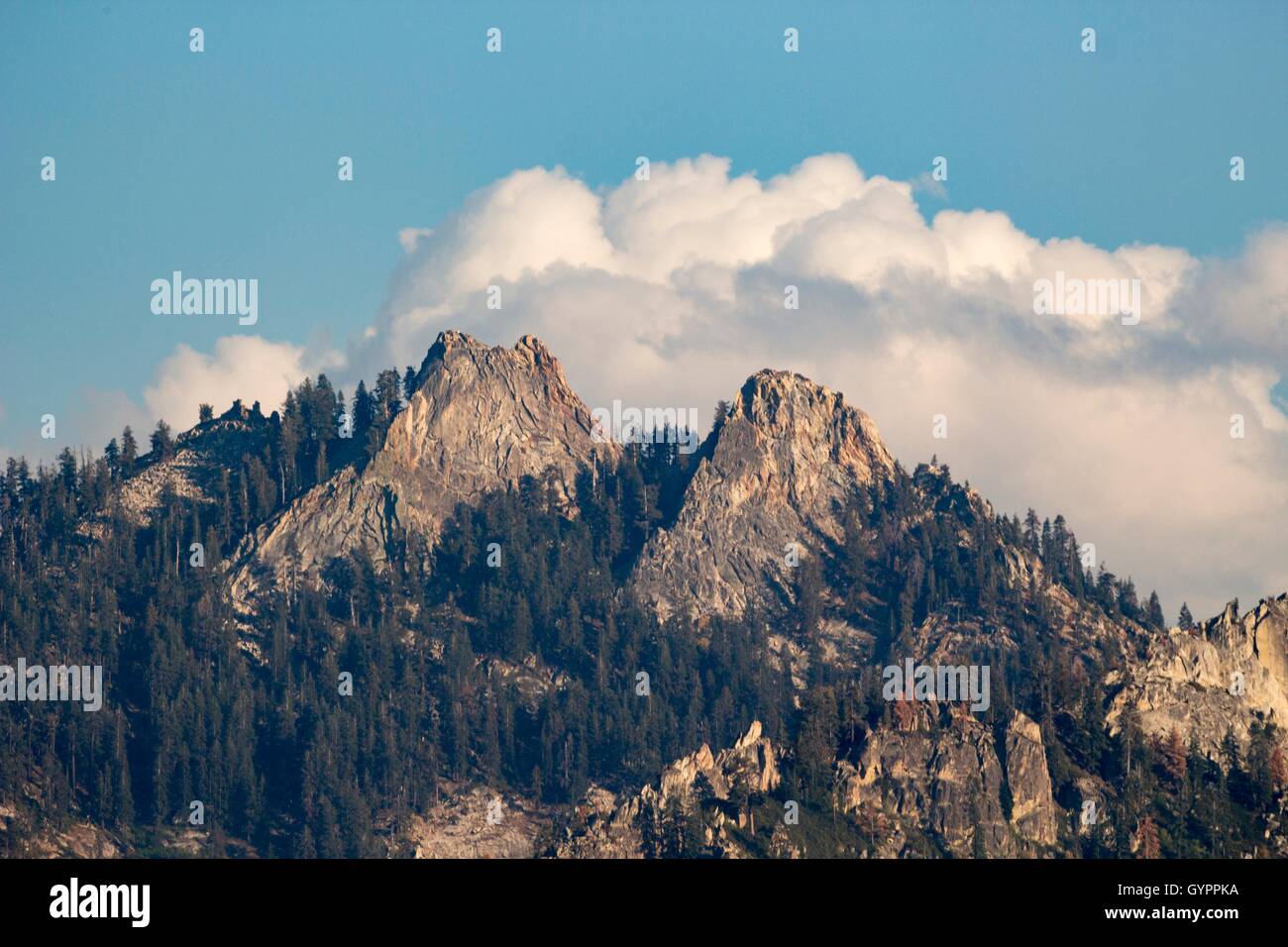 Wide View of Mountains and Trees Stock Photo - Alamy