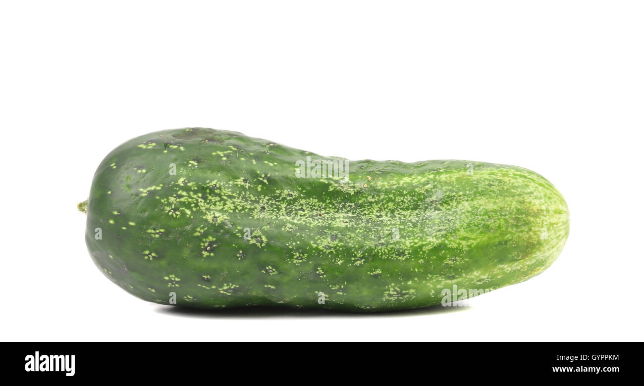 Single green cucumber Stock Photo - Alamy