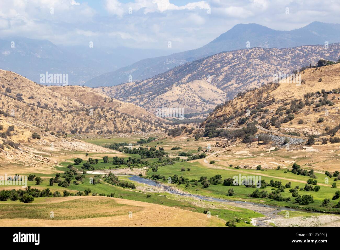 Beautifulbushes hi-res stock photography and images - Alamy