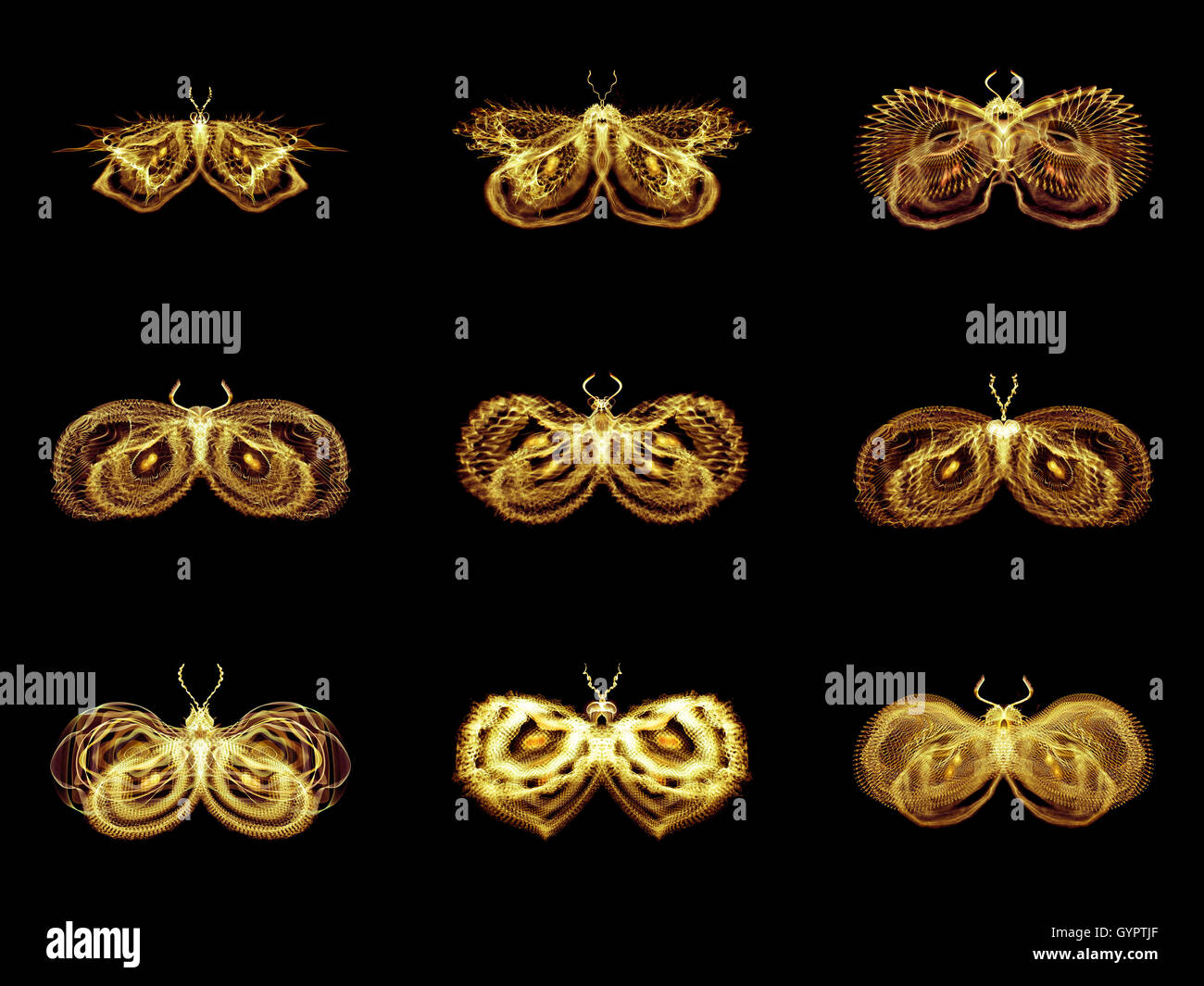 Collection of Fractal Butterflies Stock Photo - Alamy