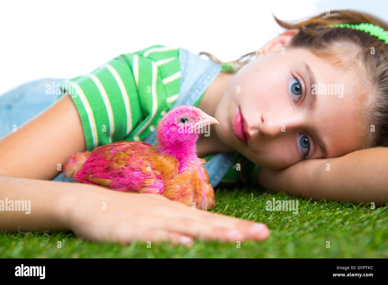 breeder hens kid girl rancher farmer with chicken chicks Stock Photo ...