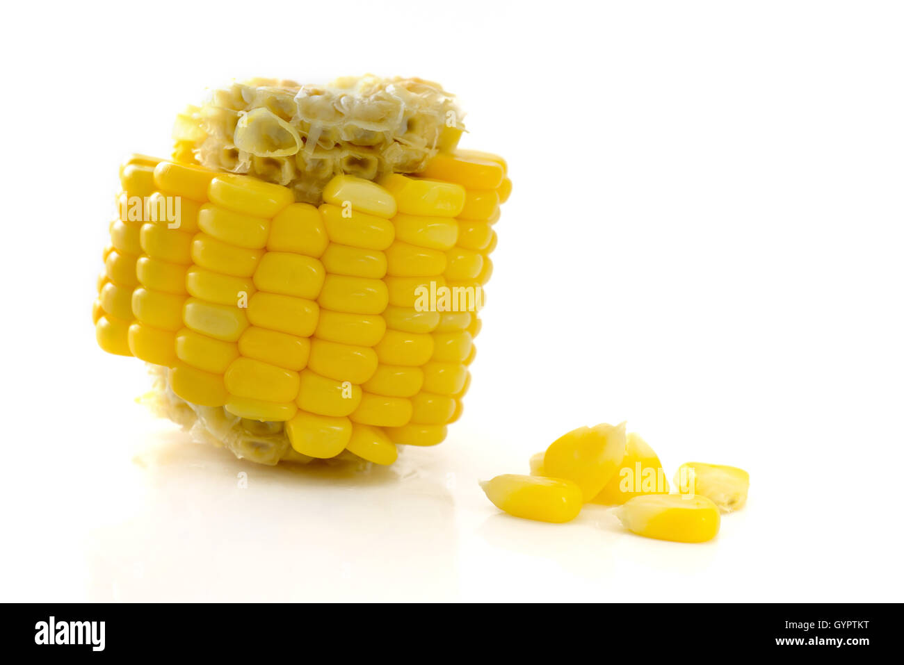 Corn cross section Cut Out Stock Images & Pictures - Alamy