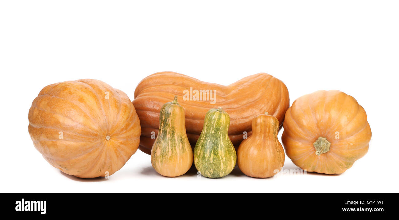 Composition of fresh pumpkins Stock Photo - Alamy