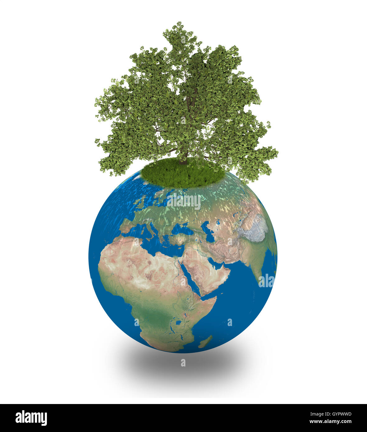Oak tree on planet Earth Stock Photo - Alamy