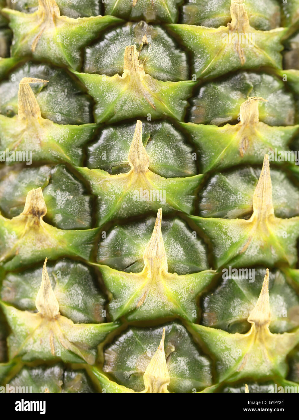 Background of pineapple skin. Macro Stock Photo - Alamy