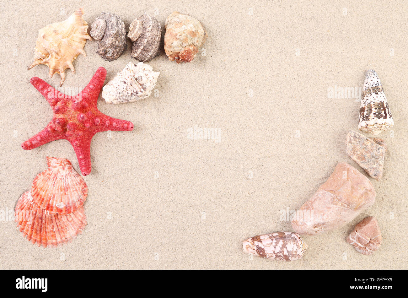 Sea shells and stars on sand Stock Photo - Alamy
