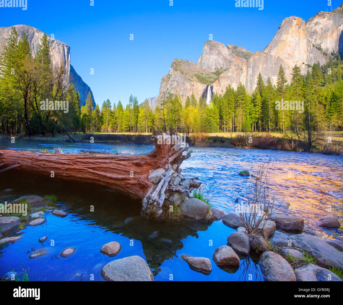 Yosemite Merced River el Capitan and Half Dome Stock Photo - Alamy