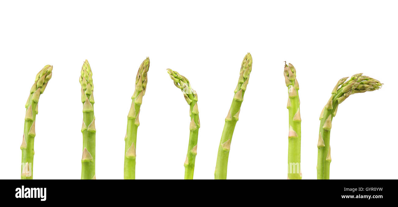 The top of some asparagus Stock Photo - Alamy