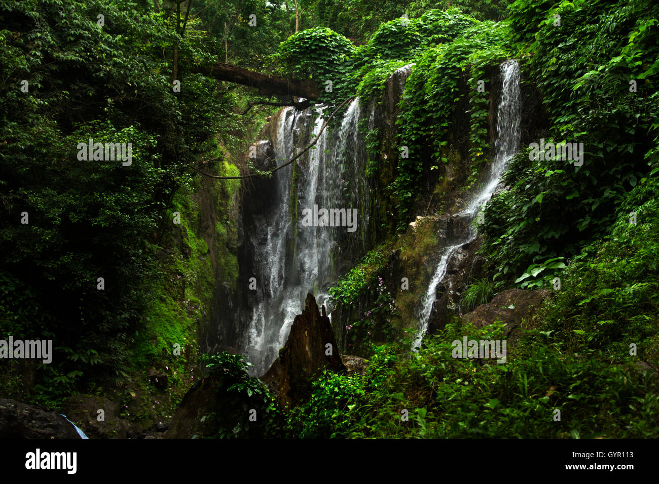 Chilling waterfalls in the green rain forest Stock Photo - Alamy