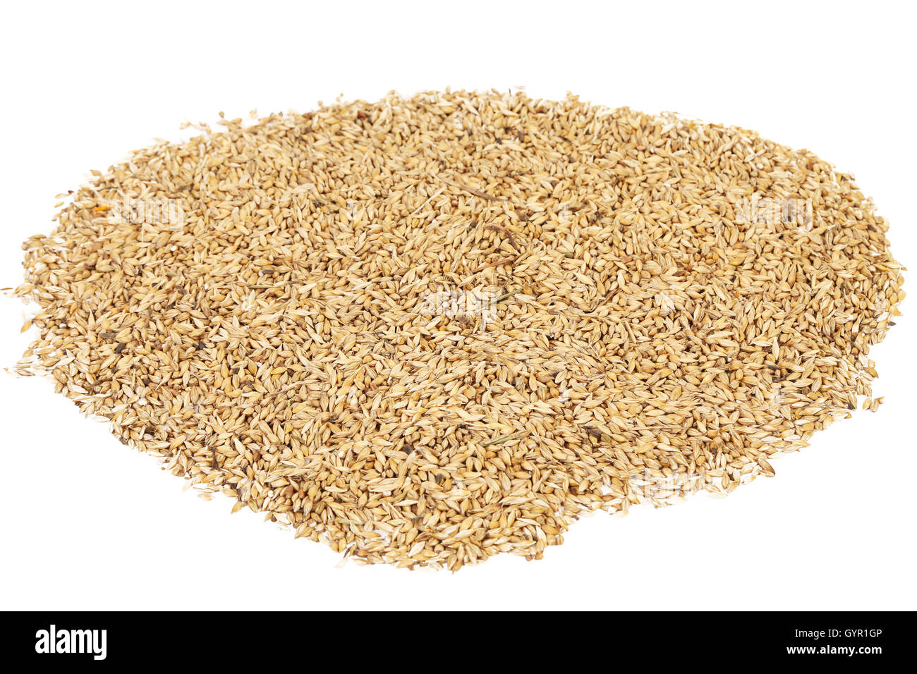 Close up of wheat grains Stock Photo - Alamy
