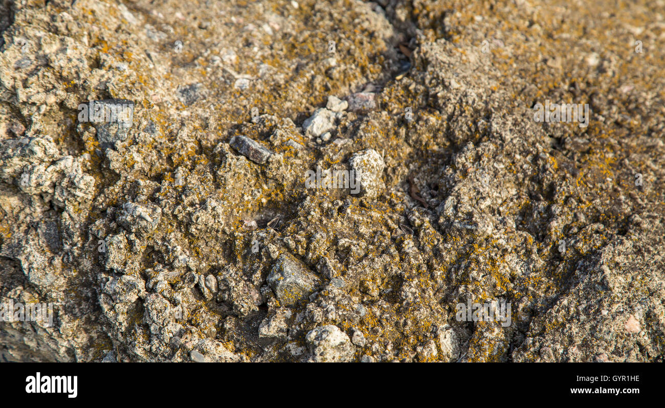 Texture of brown and green rock Stock Photo - Alamy