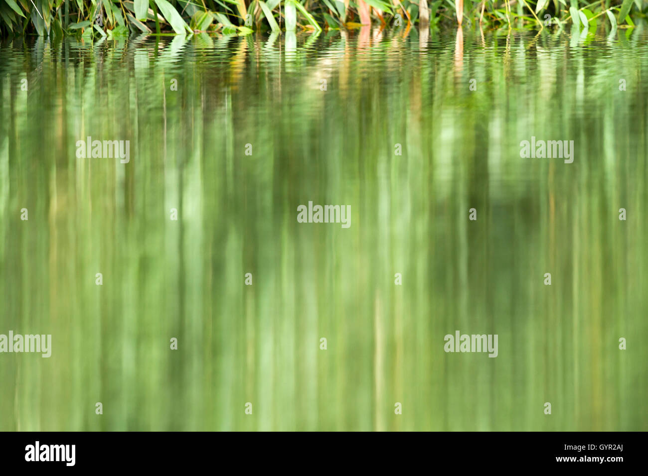 Light reflecting on road surface hi-res stock photography and images ...